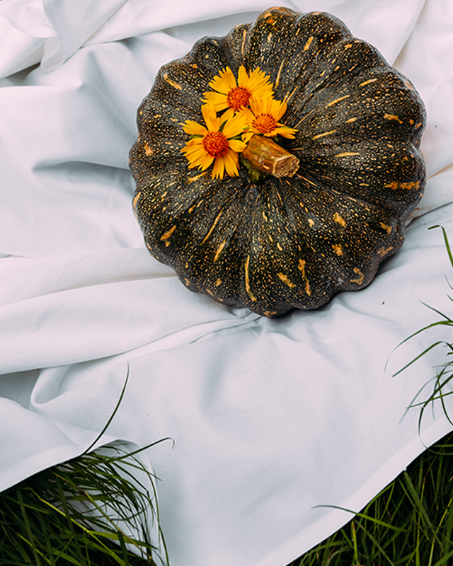 Kabocha – Aloun Farms Hawaii